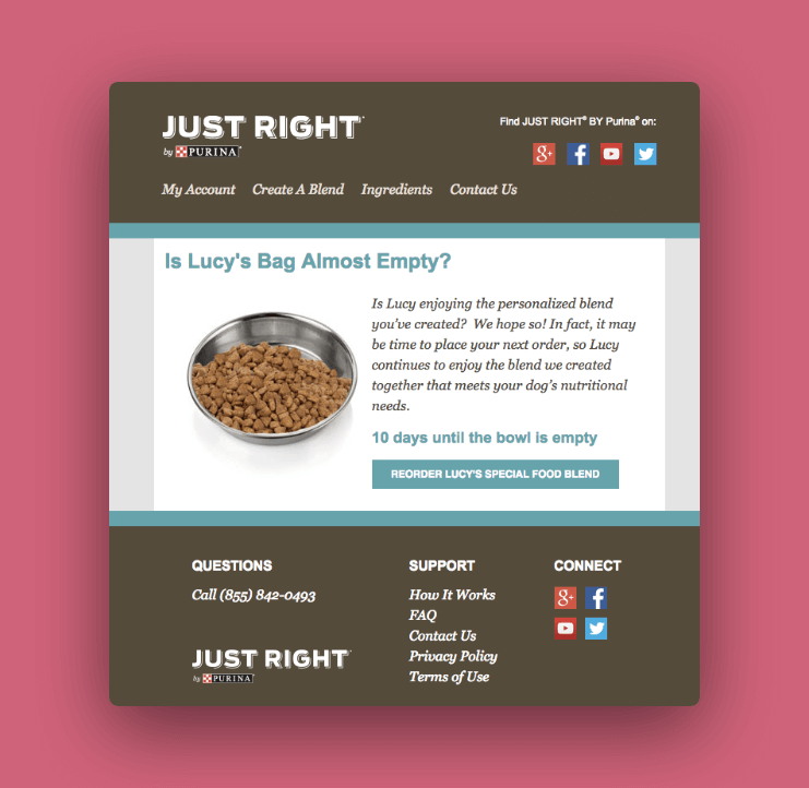 All You Need to Know About Replenishmet Emails - EmailListVerify